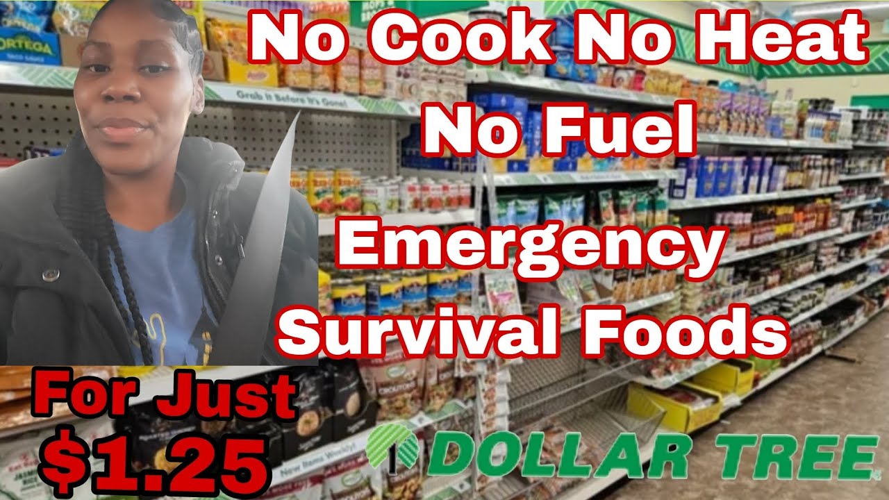 DOLLAR TREE EMERGENCY SURVIVAL FOOD KIT |BUDGET FRIENDLY | NO COOK ...