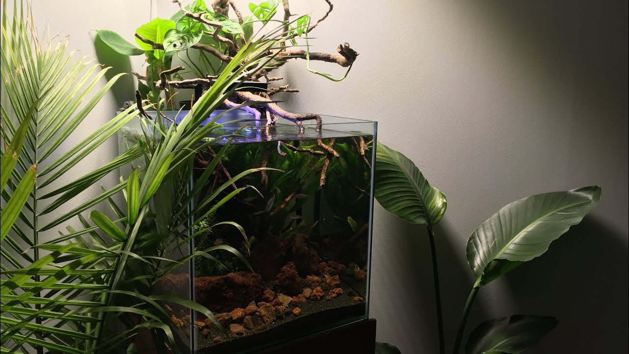 The *New* Papua New Guinea Aquarium - YouTube