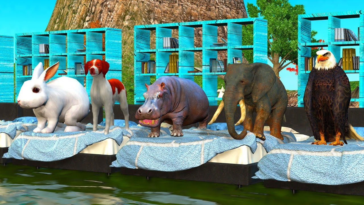 Long Slide Game With Elephant Gorilla Buffalo Hippopotamus Tiger ...