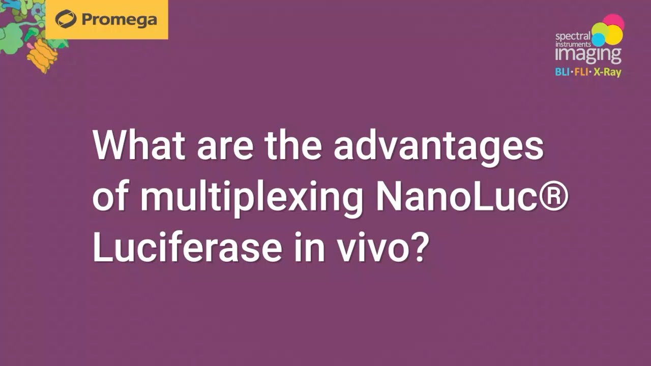 Simplify Imaging and Enhance Insights using Nano-Glo® Fluorofurimazine ...