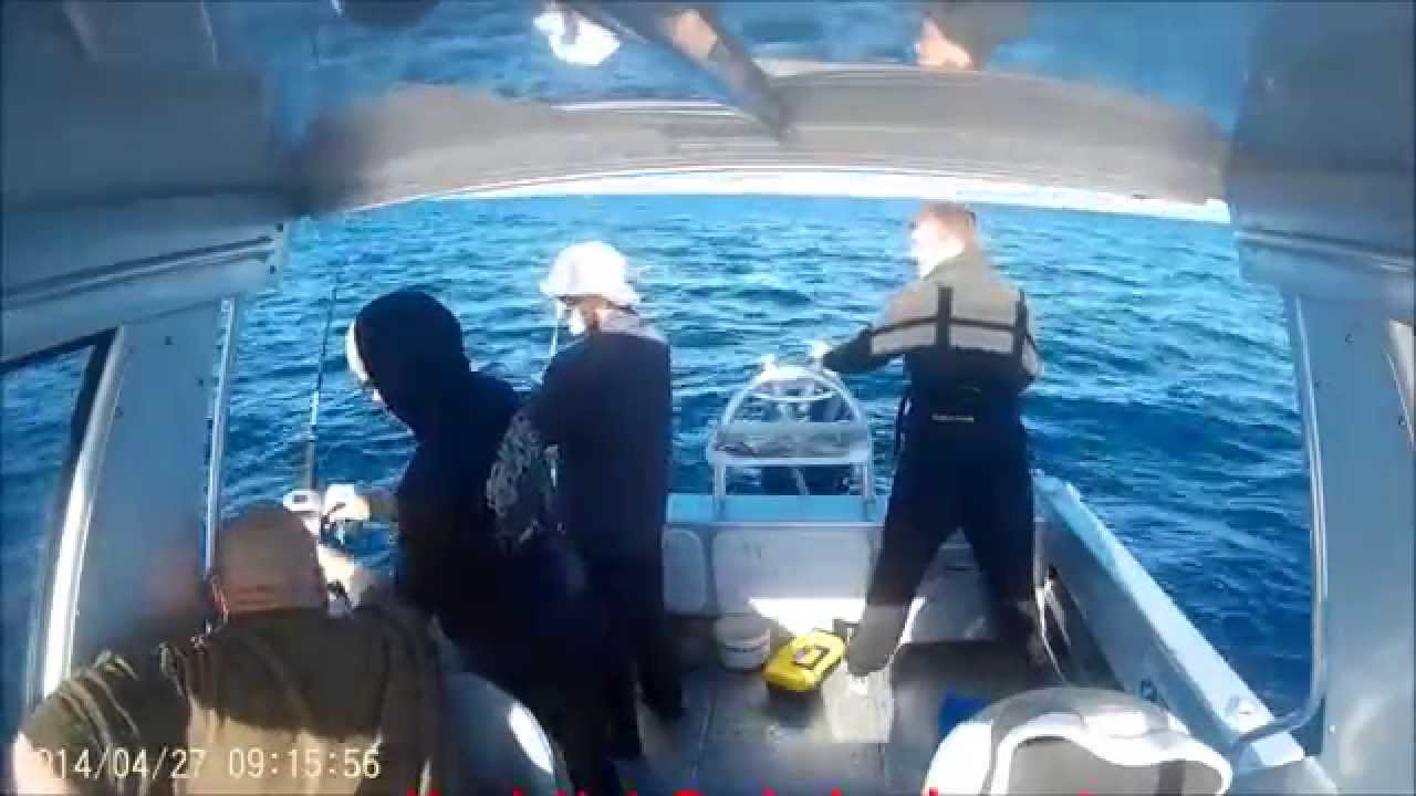 Blue Nose Fishing Deep Drop 27042014 - YouTube
