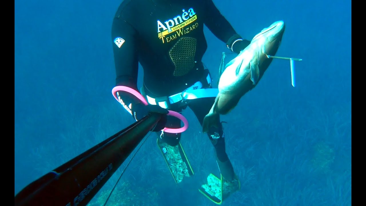 Spearfishing Summer 2024 - YouTube