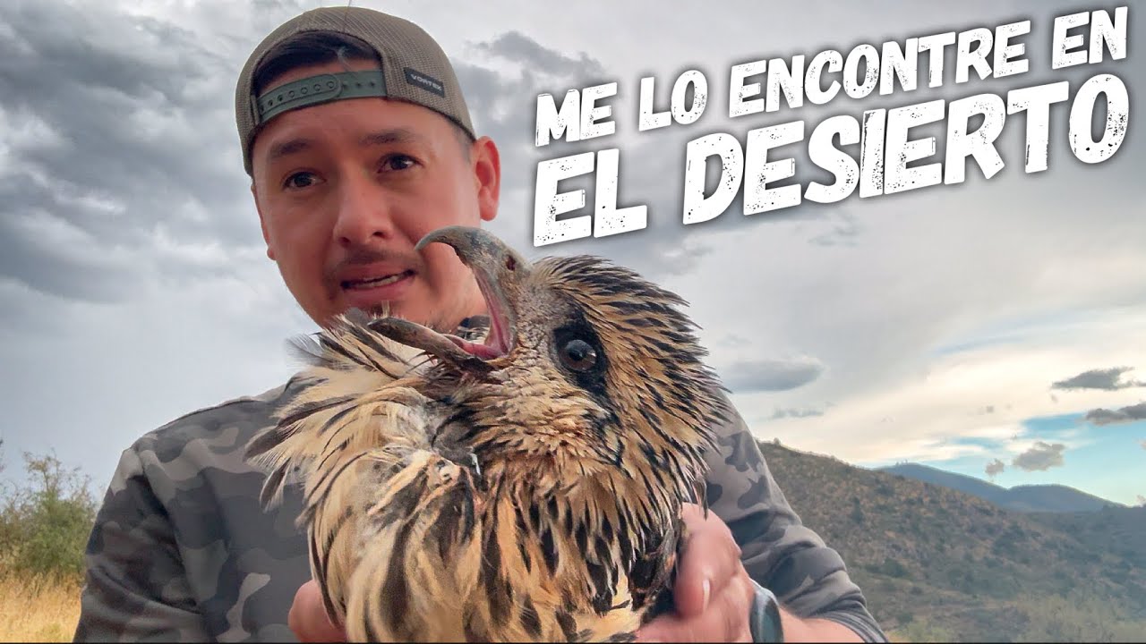 Estaba Muy Debil No Podia Ni Pararse - YouTube