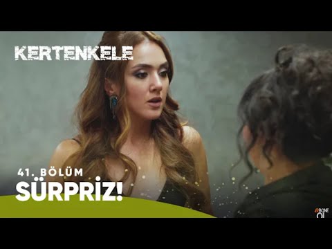 TÜLİNİN, MELİSE SÜPRİZİ NE?....KERTENKELE 41.BÖLÜM 🦎