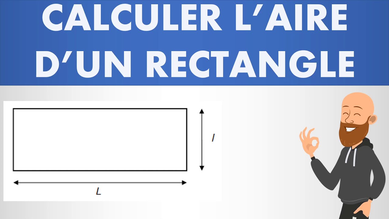 Comment calculer l'aire d'un rectangle en 1 minute (formule, exemple ...