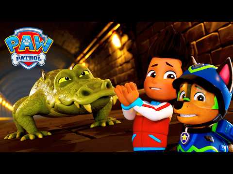 Crocodile Hold Up! Can Chase and Ryder Escape?! | PAW Patrol | Compilation