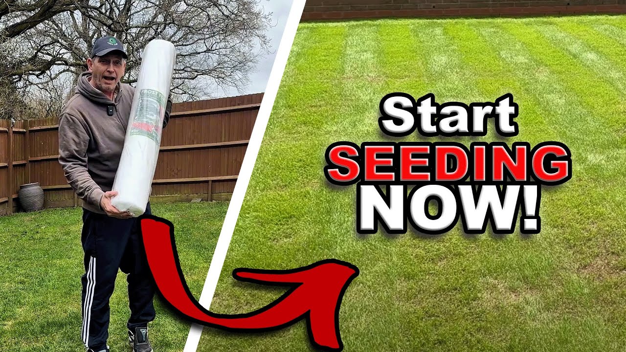 This CHEAP method of SEEDING will give your lawn the BEST RESULTS ...
