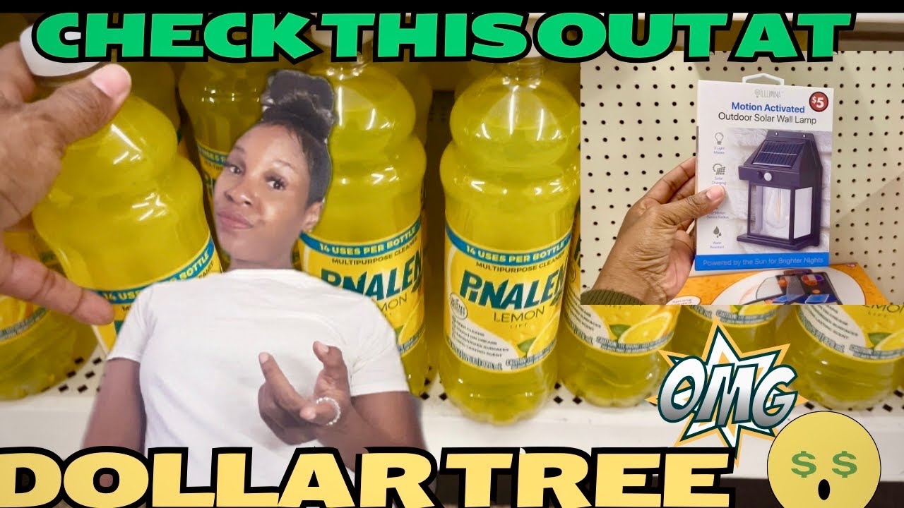 💥Check out Dollar Tree🌳Motion Solar Wall lamps perfect 4 Outdoor ...