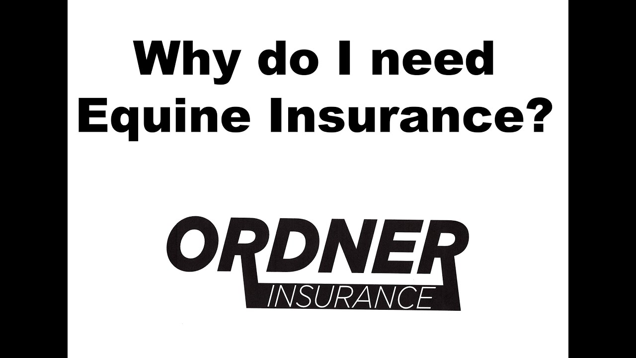 Ordner Insurance Video - YouTube