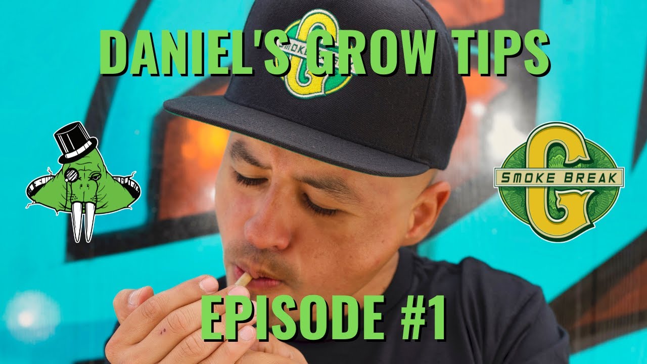Daniel's Grow Tips Episode #1. - YouTube