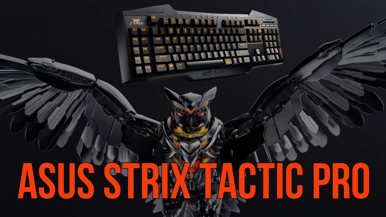 ASUS Strix Tactic Pro - механичен звяр - YouTube