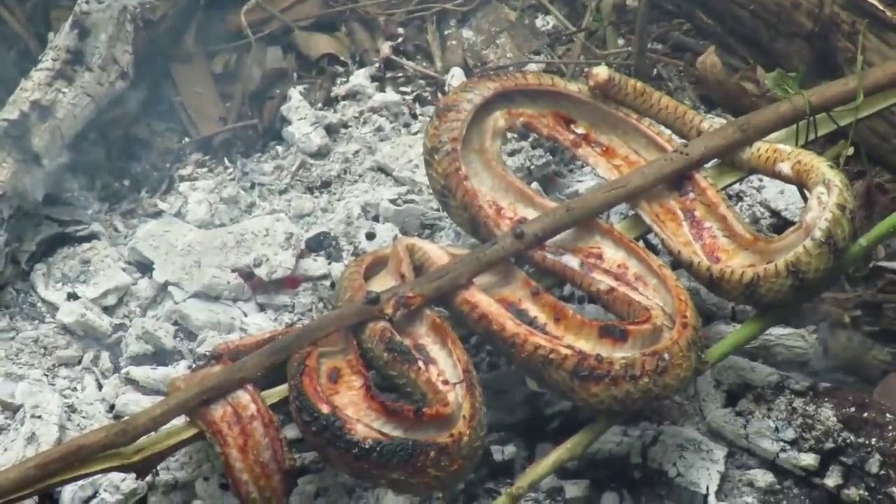 Hoe je slangen eten heel lekker kookt - YouTube