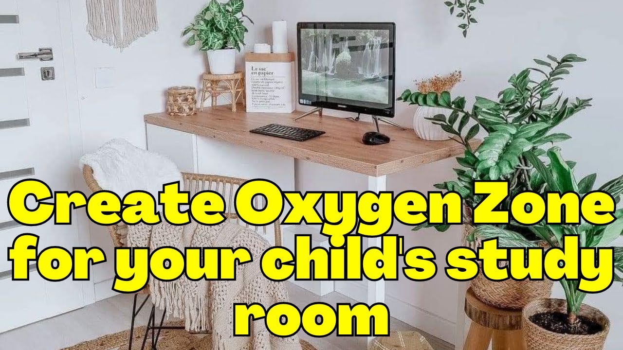Create Oxygen Zone for your child's study room | Indoor Plants that ...