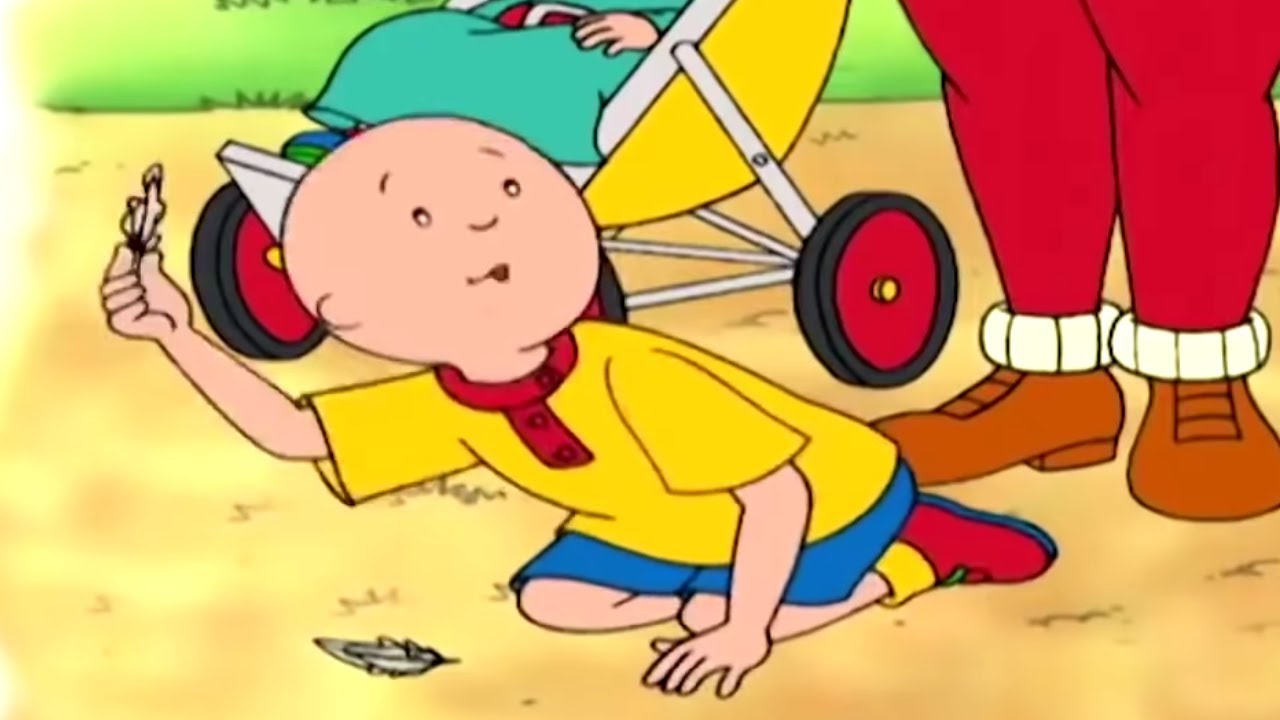 Caillou dans le Parc | Caillou en Français - YouTube