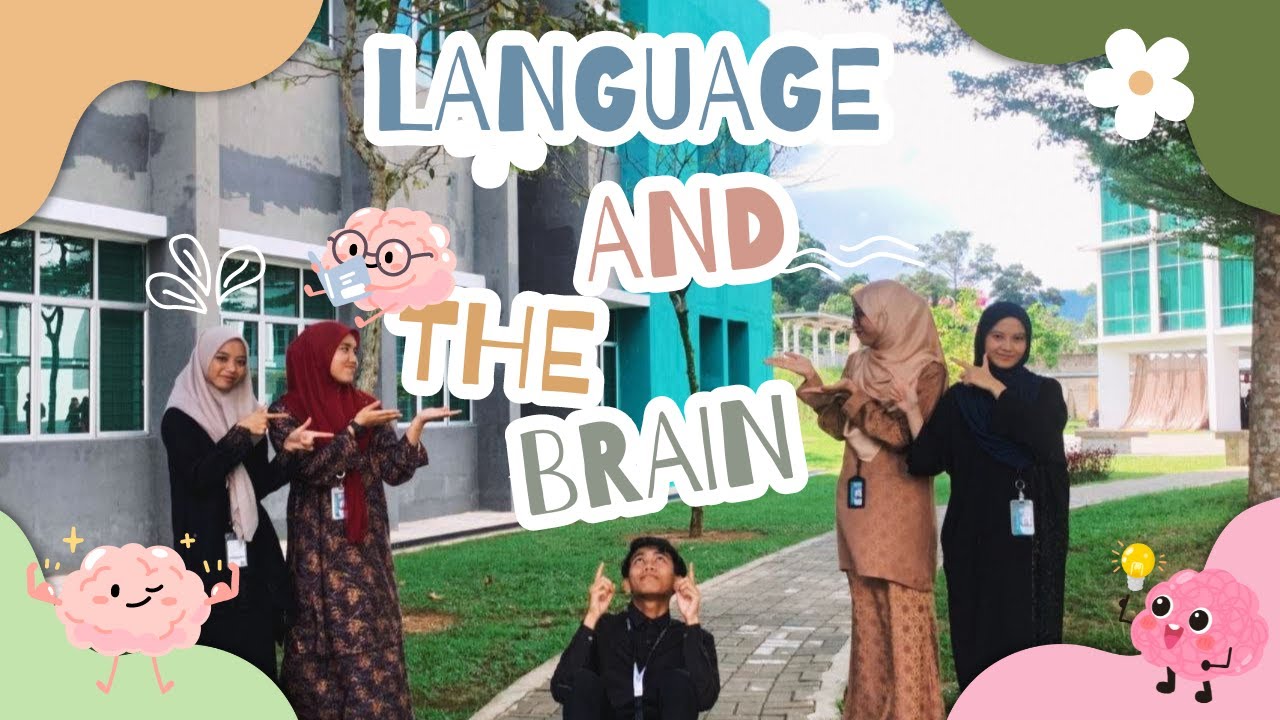 Language and The Brain Section 732 - YouTube
