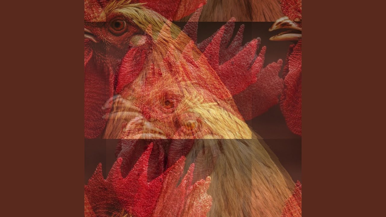 Oxoaldehyde - YouTube