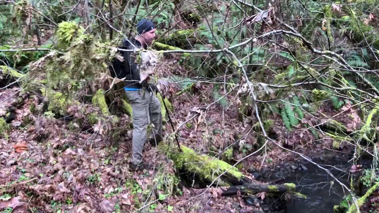 McDonald Forest- bushwhacking between trail systems - YouTube