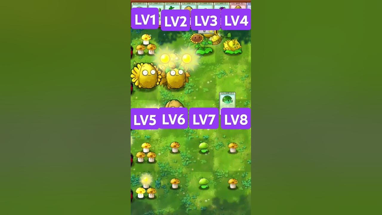 LV1-8 TO SUNFLOWER - YouTube