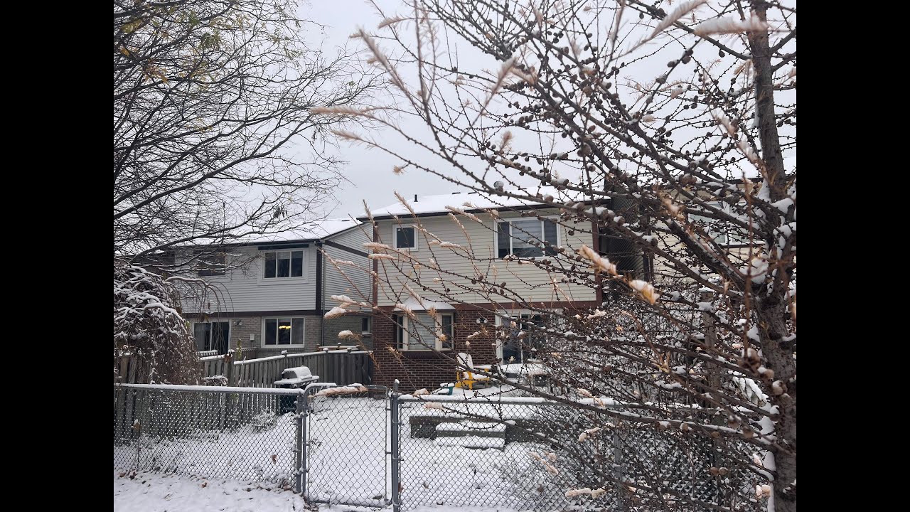 The snow is gone in the middle of winter,, Nov 26th 2022 4k - YouTube