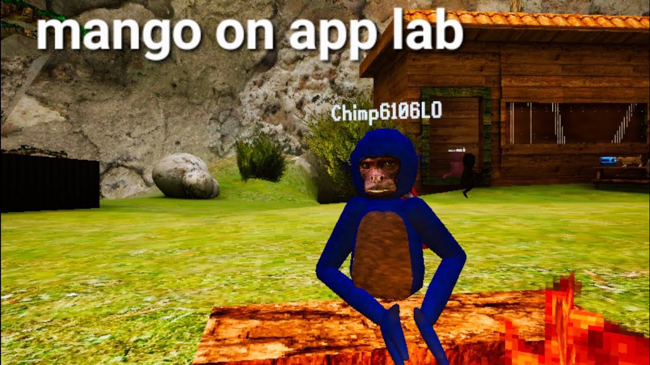 why you should play mango on app labs - YouTube
