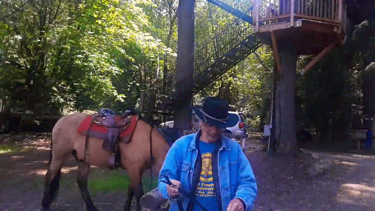 Tour of My Favorite Treehouse - YouTube