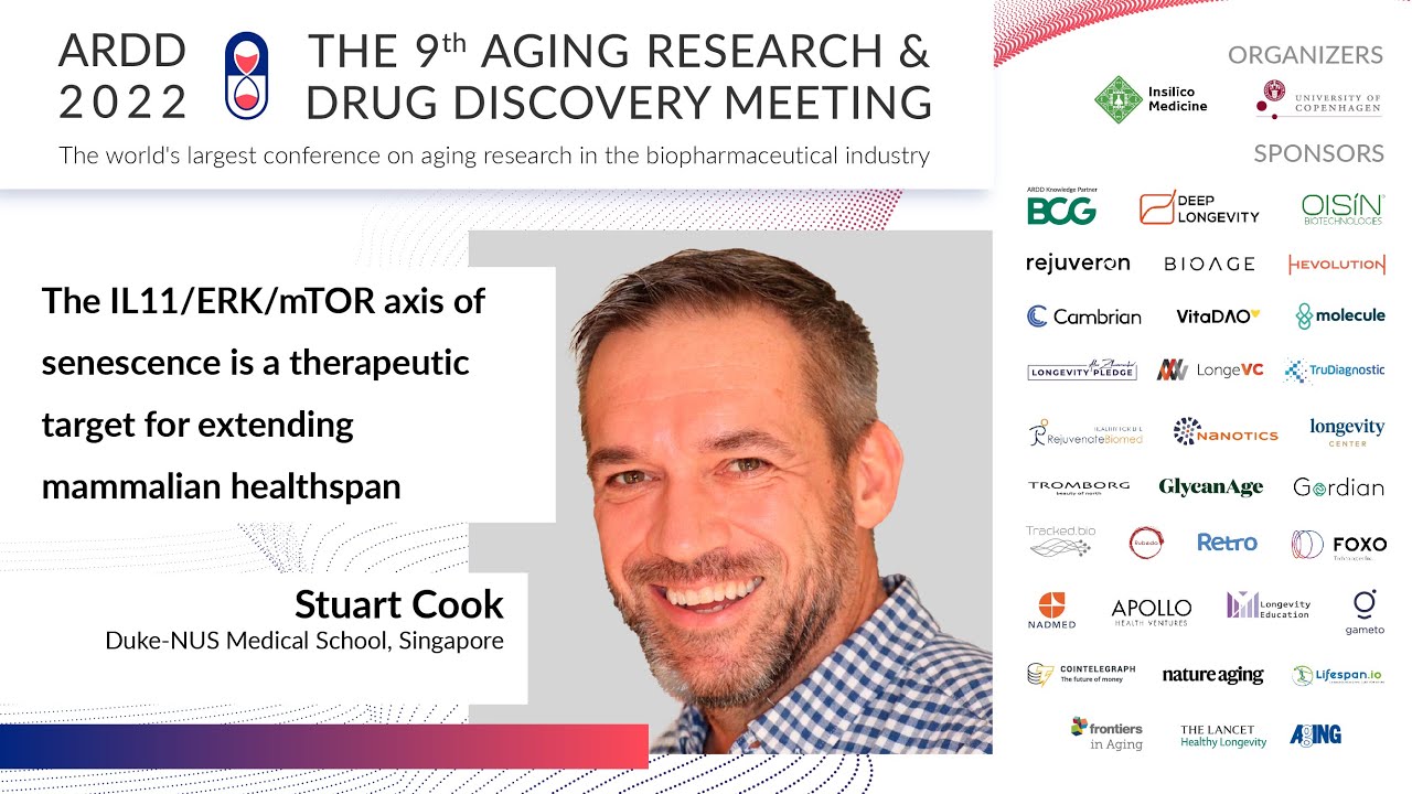 Stuart Cook, ARDD2022: The IL-11/ERK/mTOR axis is a target for ...