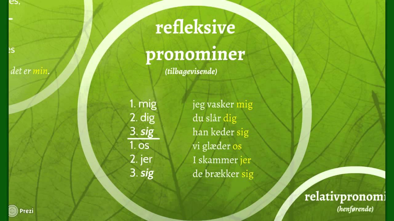 Pronominer - oversigt over de danske - YouTube
