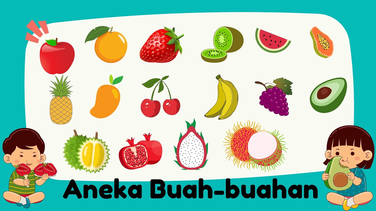 Eksplorasi Buah-Buahan: Mengenal Nama Buah dengan Gambar | Bersama Almee dan Asha - YouTube