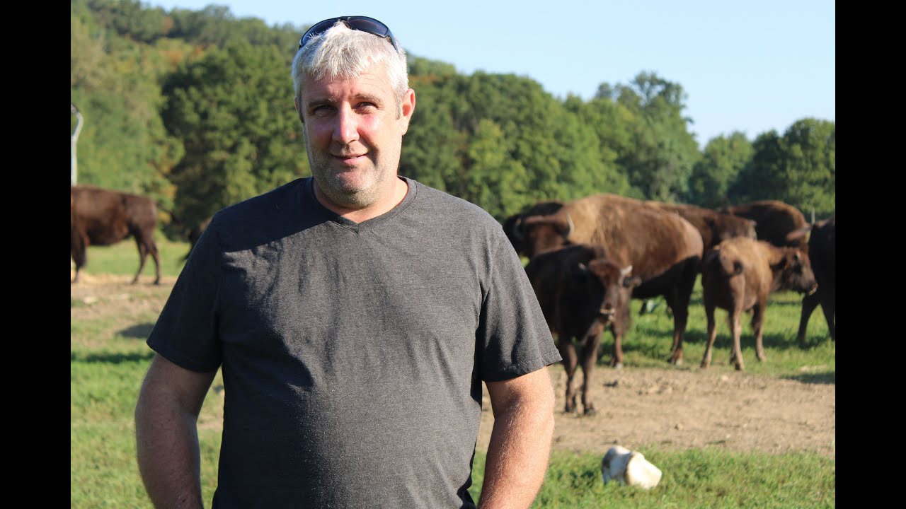 Breurey-lès-Faverney : Les Bisons de Bacara, un air de Far West dans la ...