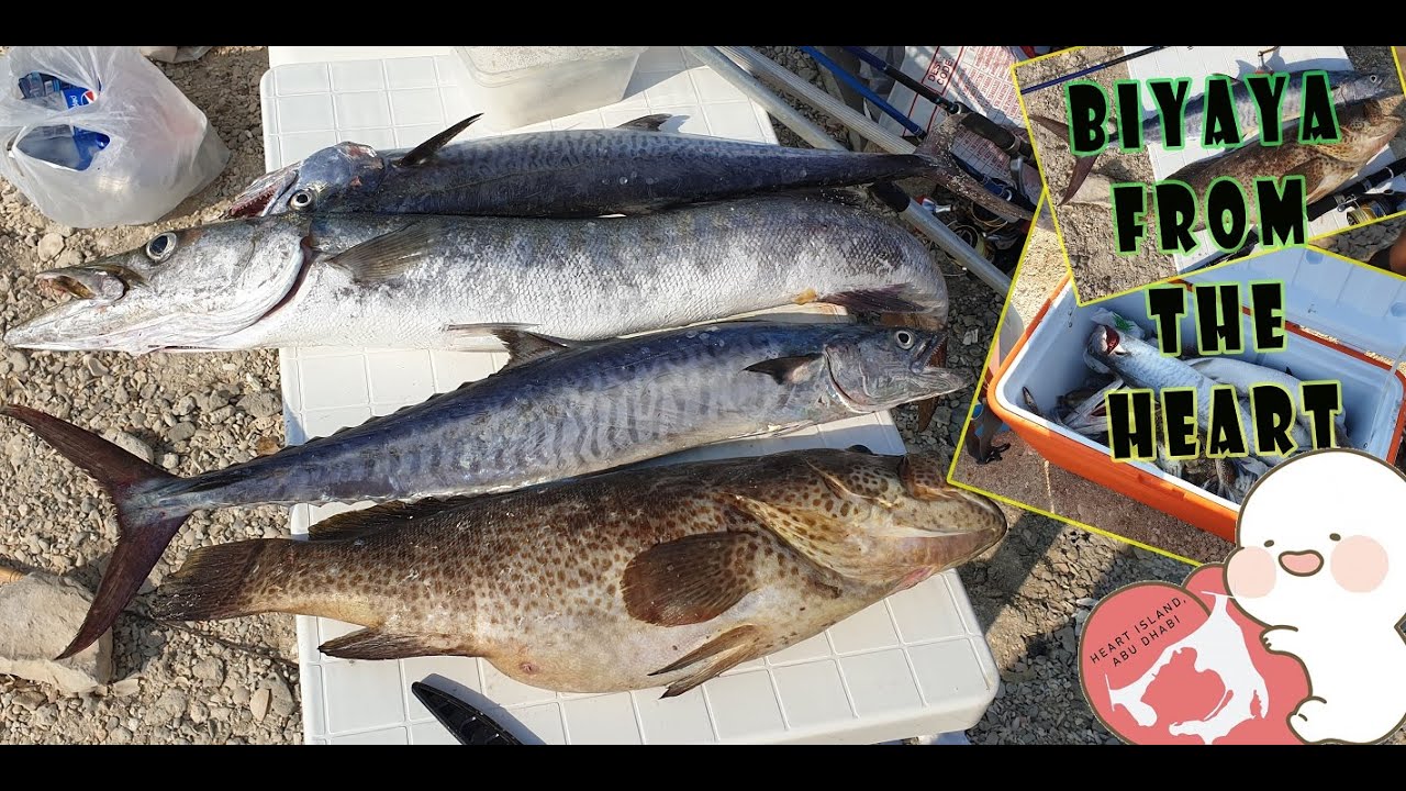 Biyaya from the HEART, Abu Dhabi Island Escapade | FishWorld TV - YouTube
