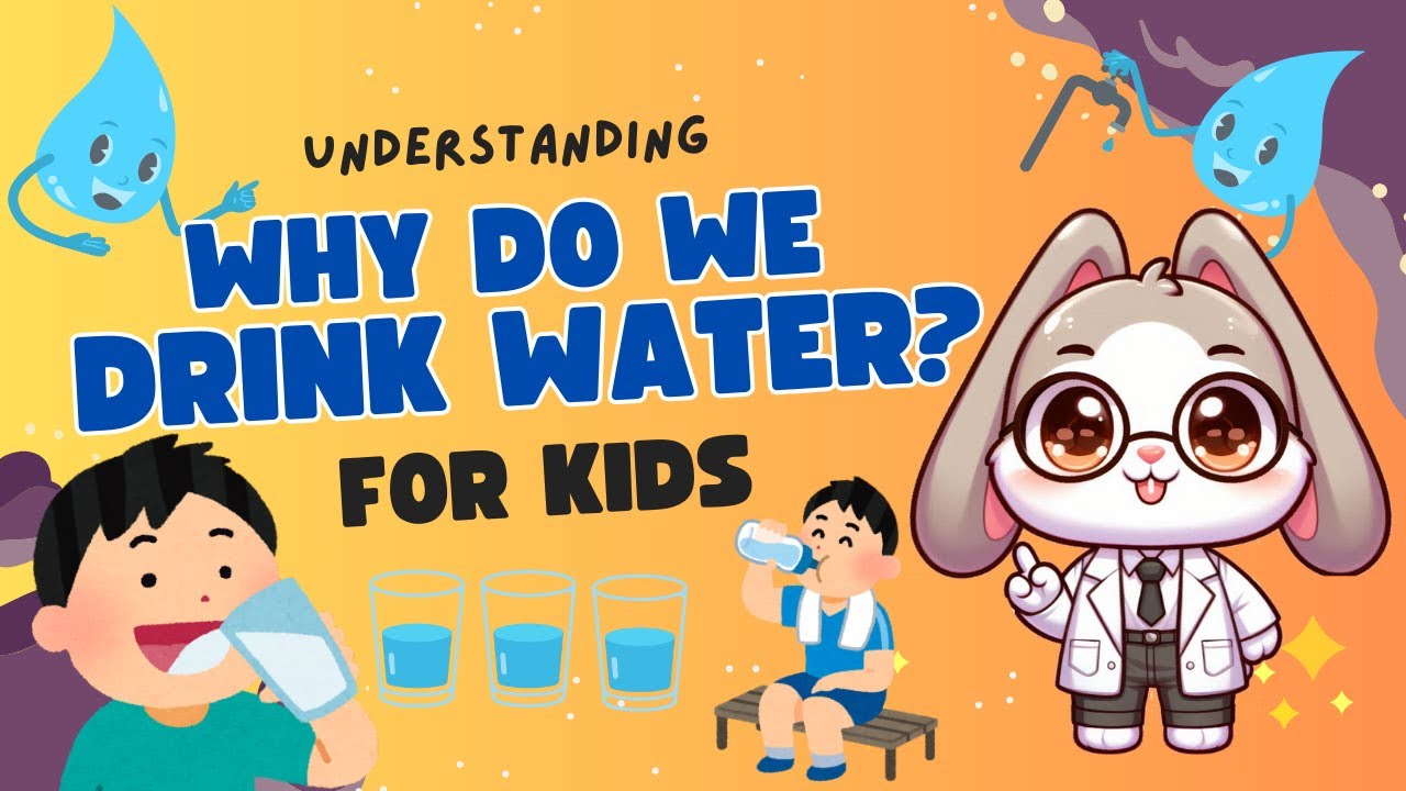 💧💧WHY DO WE DRINK WATER? FOR KIDS 💧💧 WHAT IS THE WATER CYCLE FOR KIDS ☀ ...
