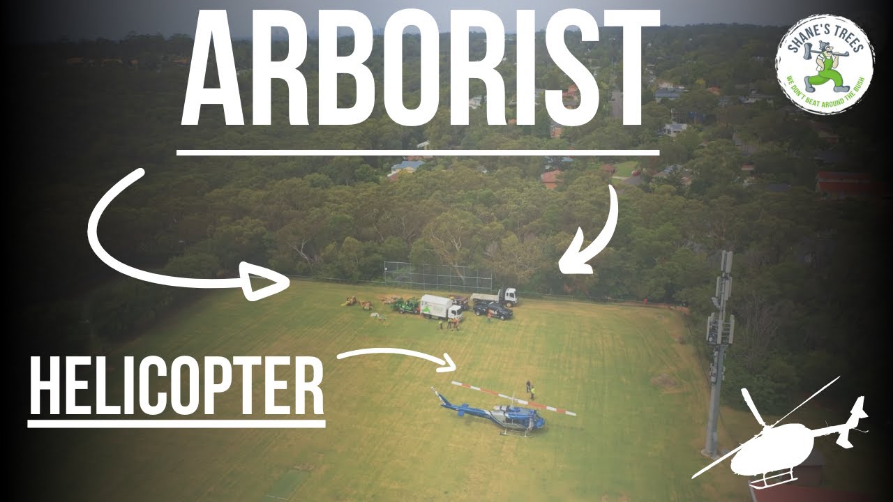 LIFTING LOGS WITH AN HELICOPTER - SHANE'S TREES - YouTube