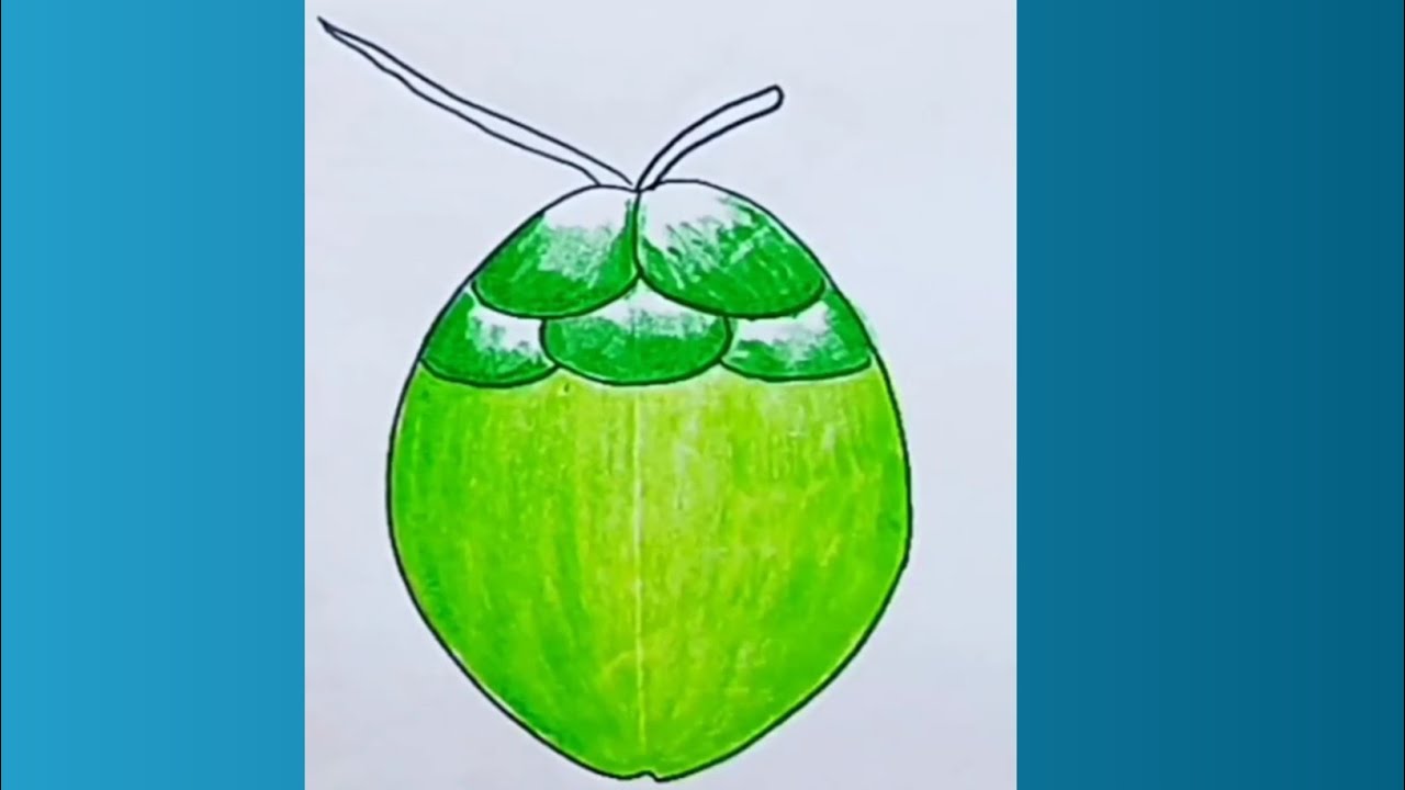 How to Draw a Dub/coconut fruit || Easy pencil ️ ️ ️ ️ drawing || Step ...