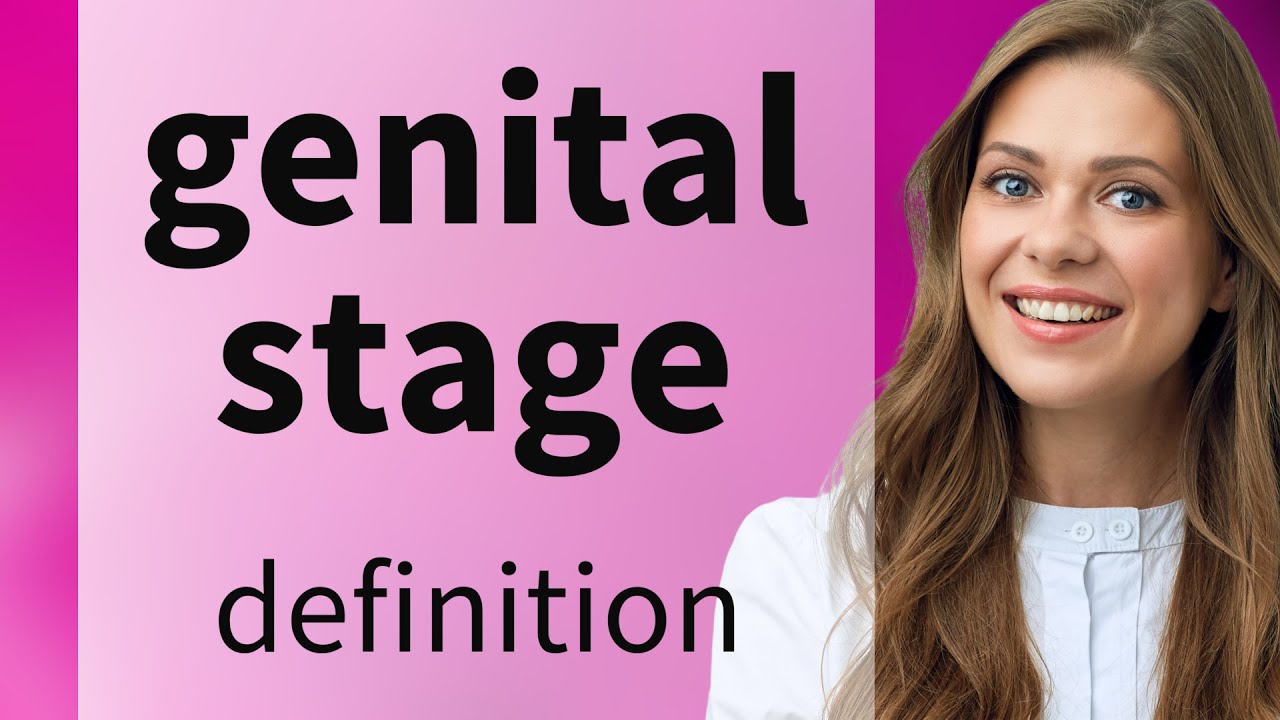 Genital stage | what is GENITAL STAGE definition - YouTube