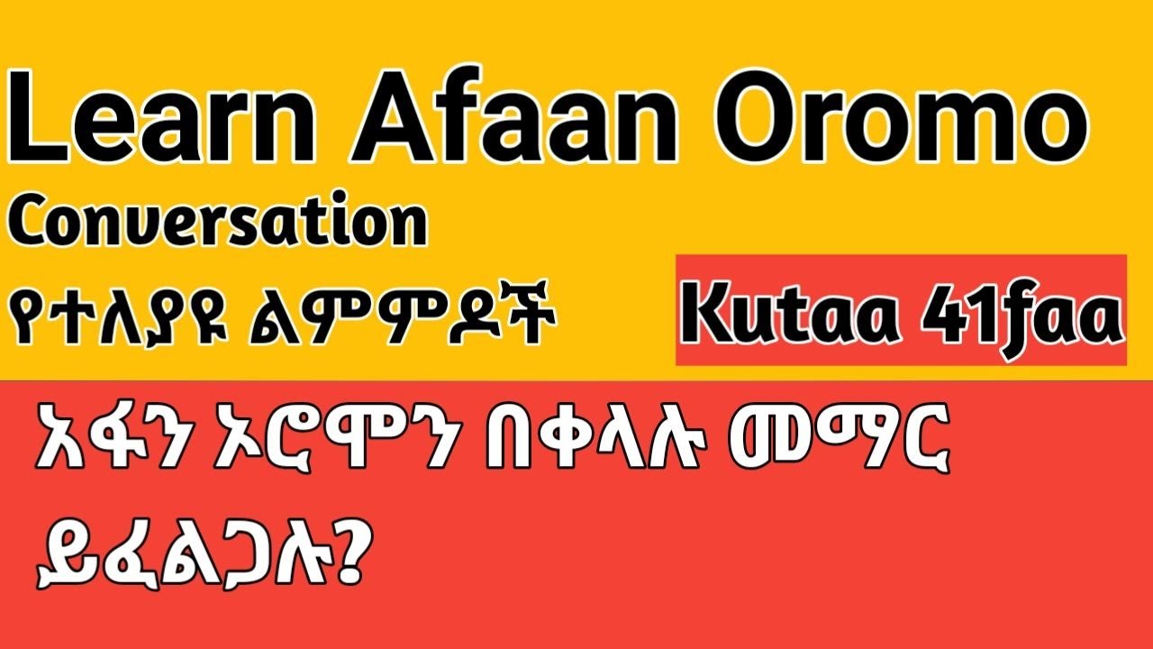 Learn Afaan Oromo in Amharic|የአፋን ኦሮሞ ቃላትና አረፍተ ነገር|part 41 - YouTube