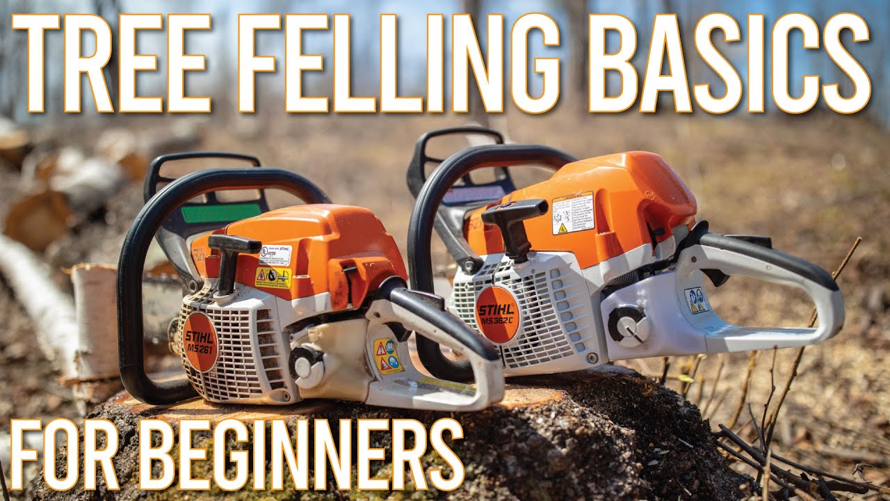 Tree Felling Basics for Beginners and Amateurs // Stihl MS 261 and 362 ...