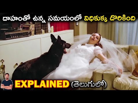 La criatura Full Movie Explained in telugu | BTR Creations