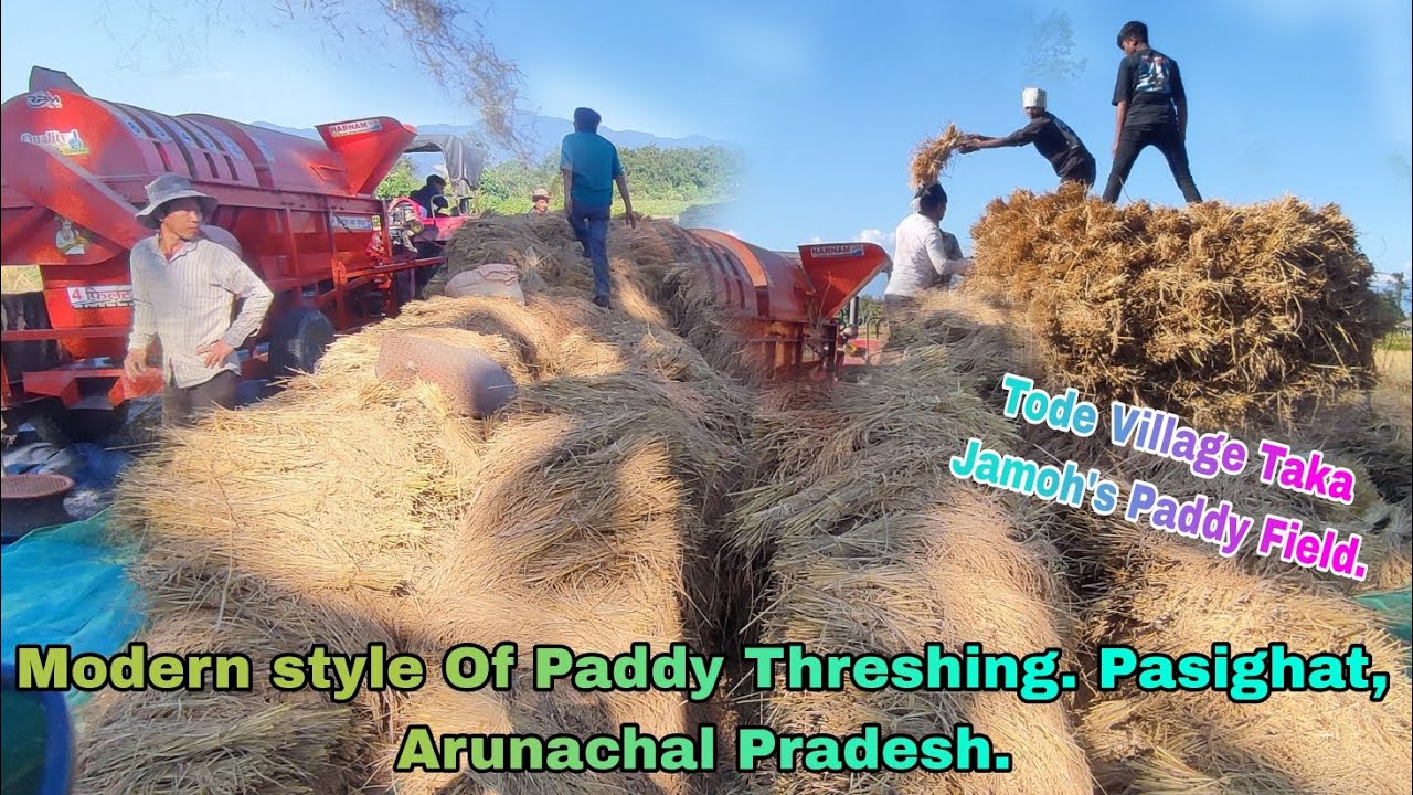 Modern Style Of Paddy Threshing|Pasighat, Arunachal Pradesh|Tode ...