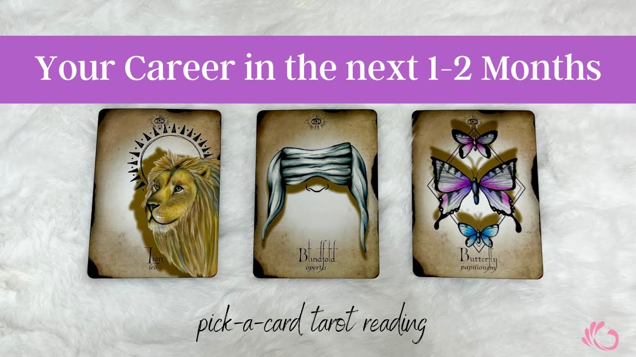 Career Reading : What to Expect in the Next 1-2 Months! - YouTube