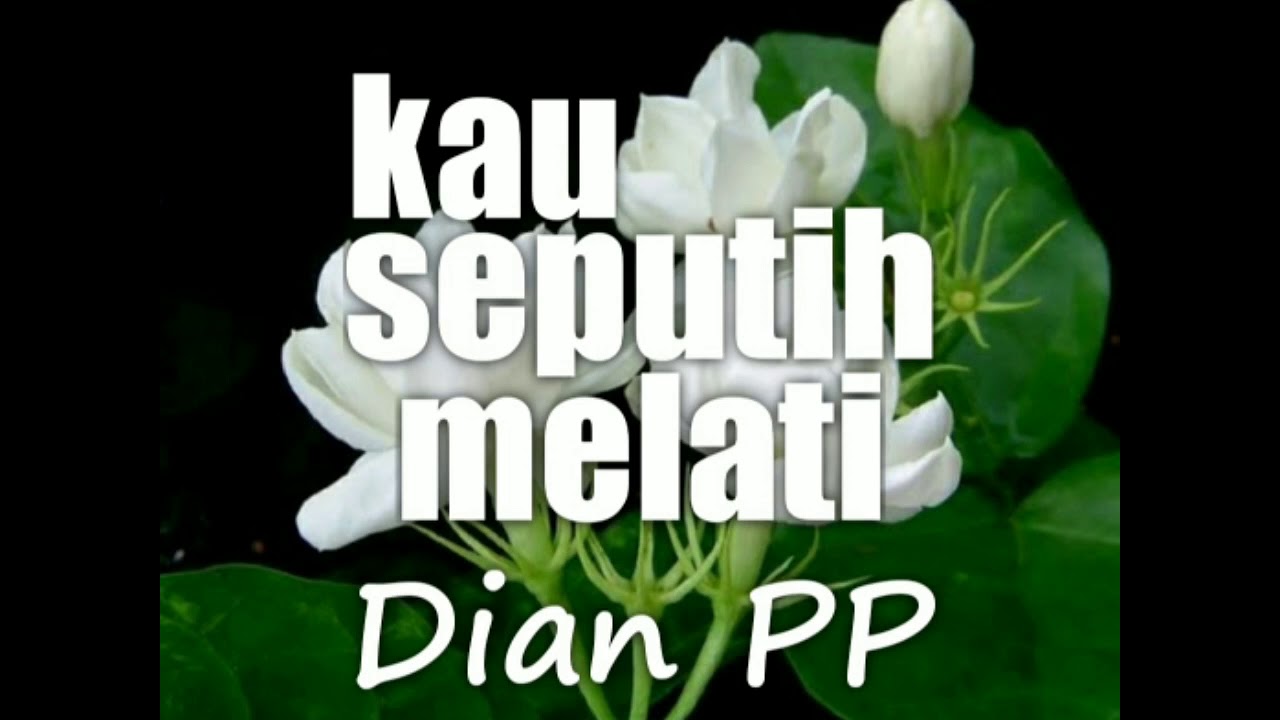 DIAN PP - KAU SEPUTIH MELATI - lirik - YouTube
