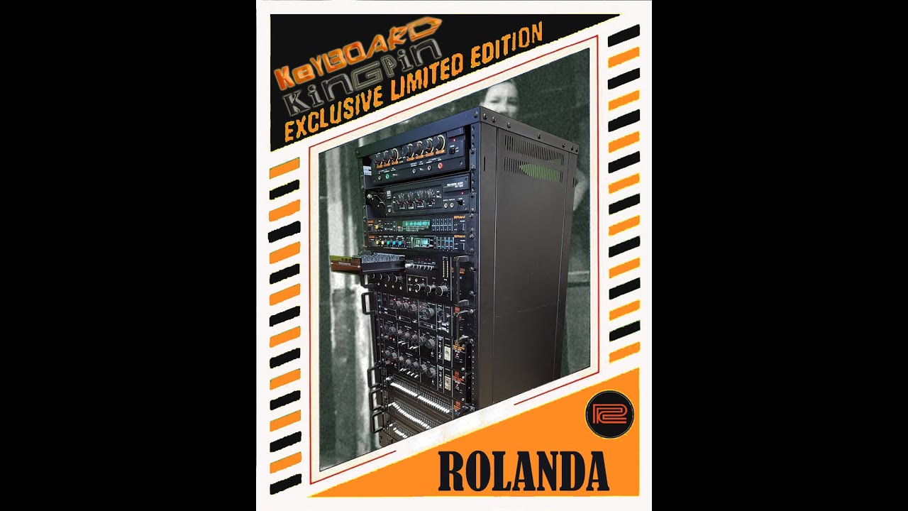 Rolanda Vintage Roland Rack (Boss Dm-300, SBF-325, Sip-301, Rv-100, Amx ...