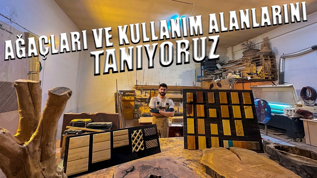 WOODEN WORKSHOP WOOD INTRODUCTION LEARN EVERY WOOD TYPES WHAT WE USE IN ...