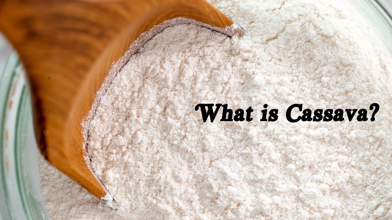 What is Cassava? - YouTube