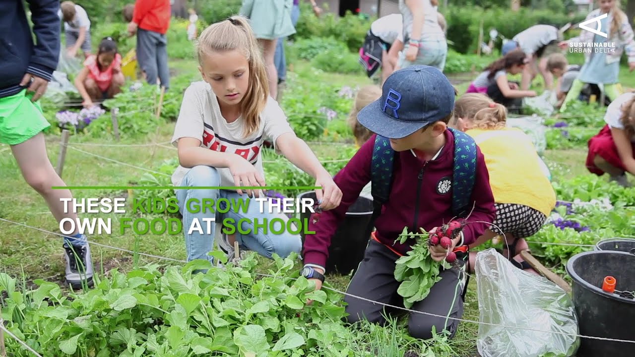 These kids grow their own food at school. - YouTube
