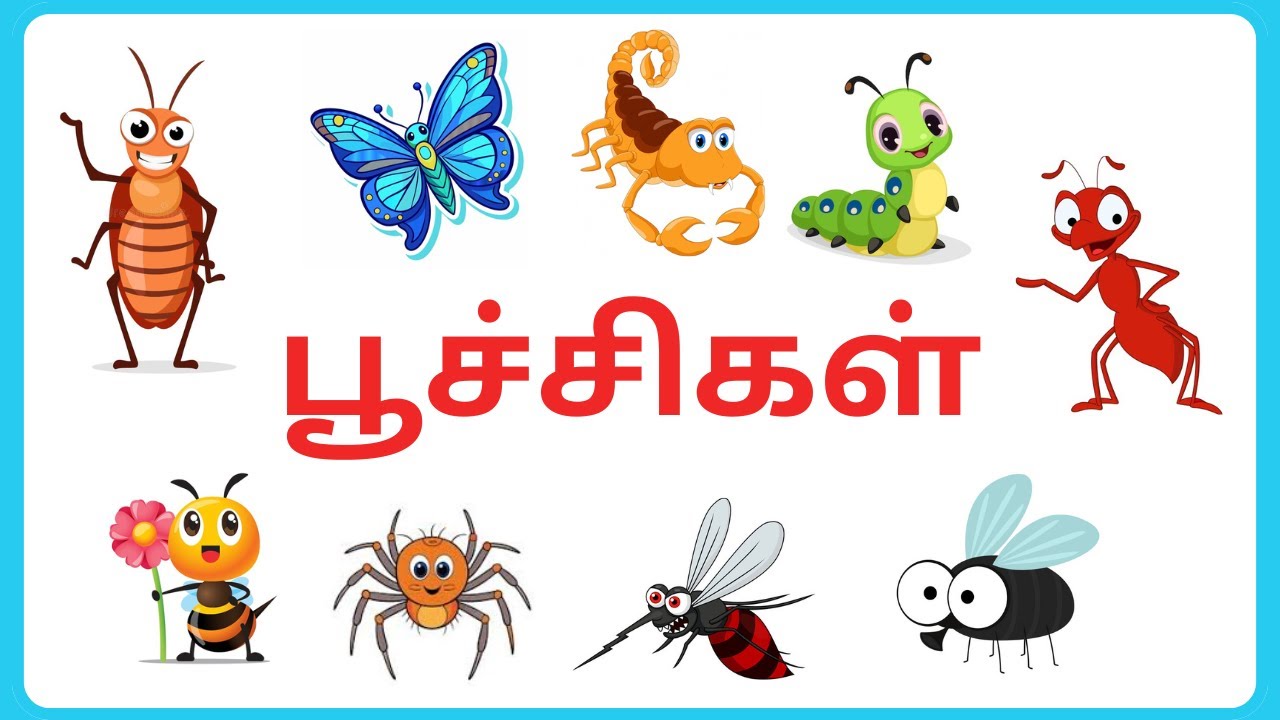 Insects names in Tamil|பூச்சிகளின் பெயர்கள்|Kids learning insects names ...
