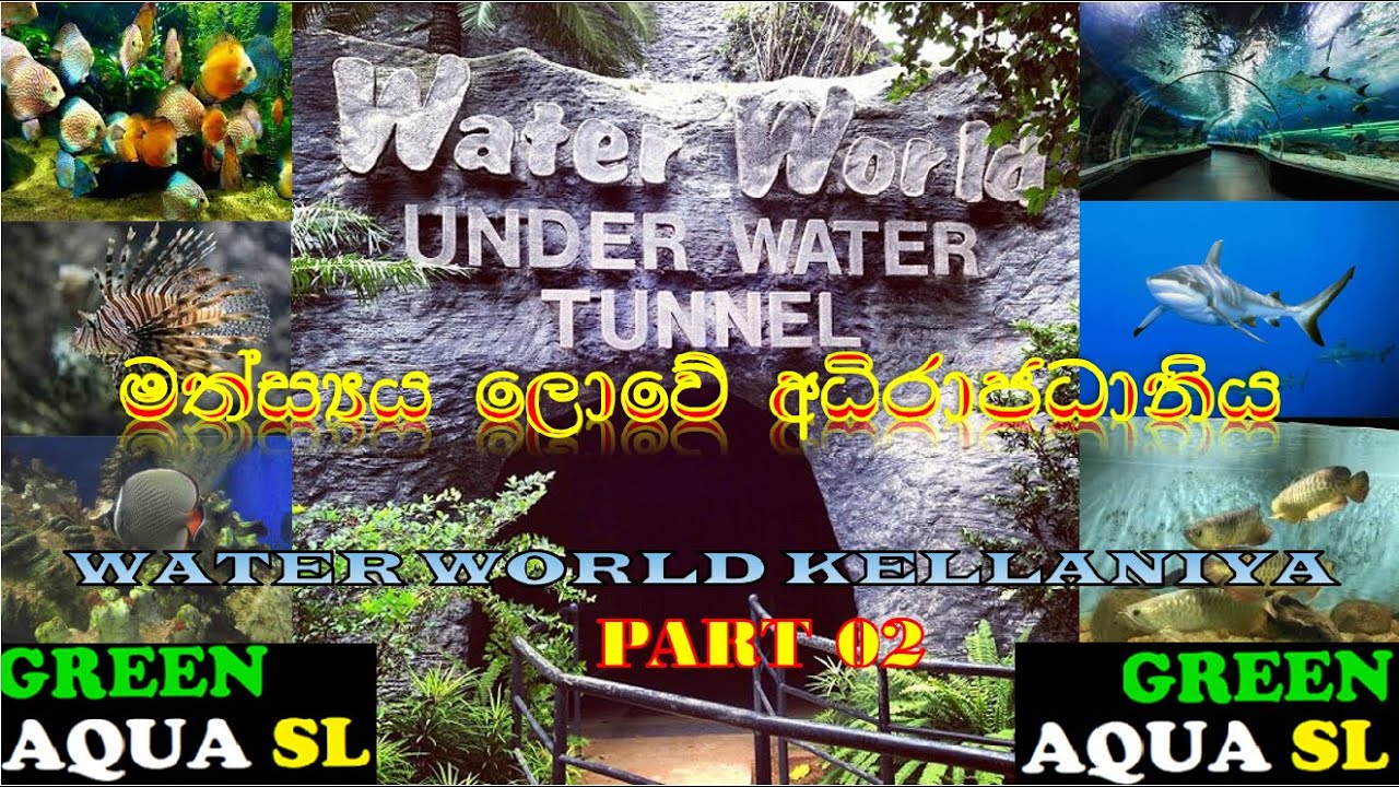 The Kingdom of the Fish World || Water World Kelaniya || PART 02 ...