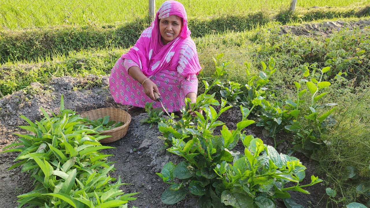 মাঠের তাজা পুঁইশাক দিয়ে পুকুরের দেশী ফলি মাছ রান্না Pui Shak Foli Mach ...