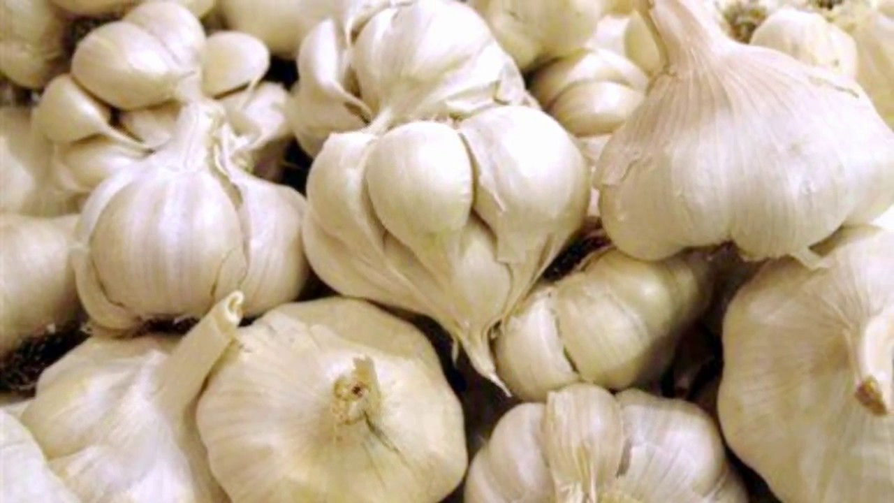 California Grown Garlic - YouTube