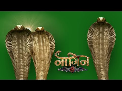 Naagin 6 Prathna Snake Animation Green Screen Naagin 6 New Green Screen ...