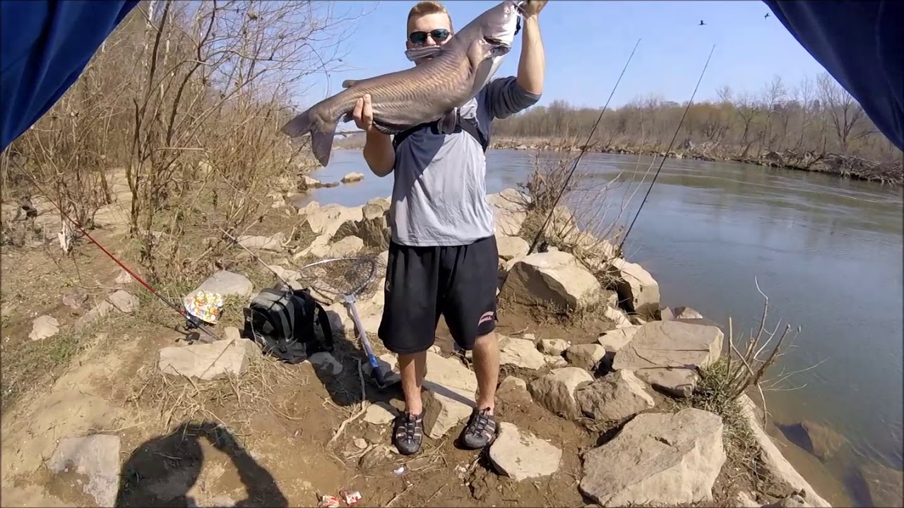 Chain Bridge Catfishing April 2018 - YouTube